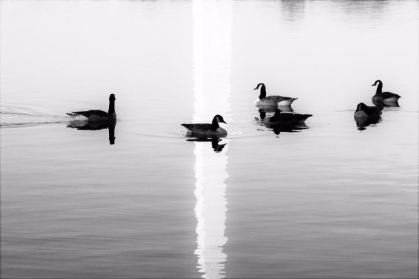 Best of IGDC 2017 Exhibition - IGDC