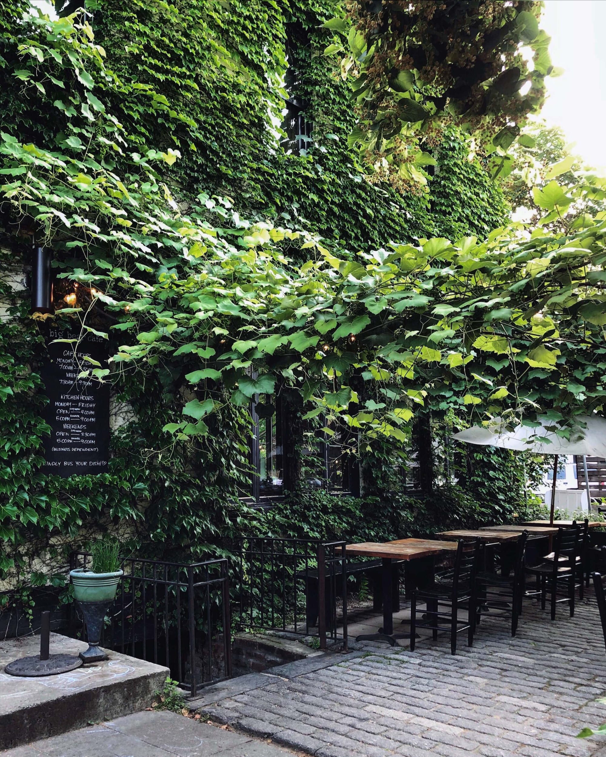 The 13 Best Coffee Shops in Washington DC: Instagrammers Guide